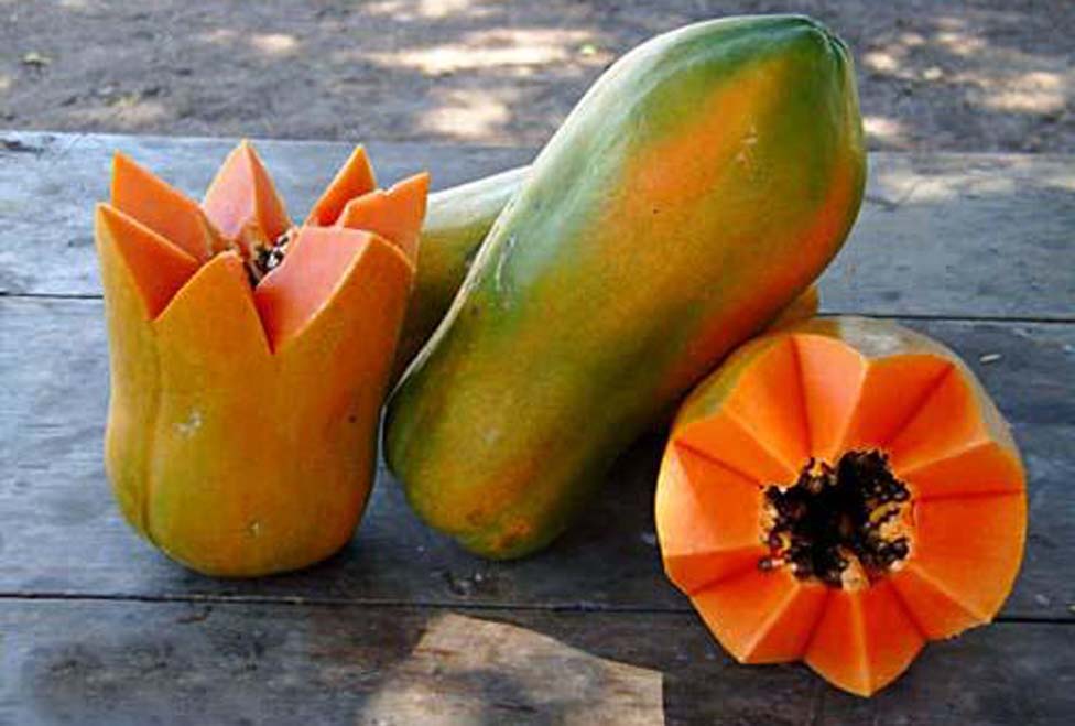 Papaya Maradol ha disminuido la migración a los EU - Grupo Milenio