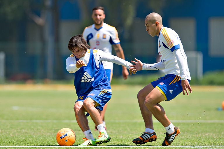 Aunque nadie crea en ellos, Torres Nilo ve a Tigres campeón - Grupo Milenio