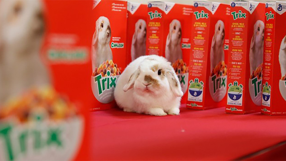 Este adorable conejito es la nueva mascota de Trix - Grupo Milenio