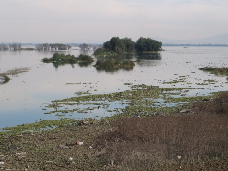 Rescatarán la Laguna de Zumpango - Grupo Milenio
