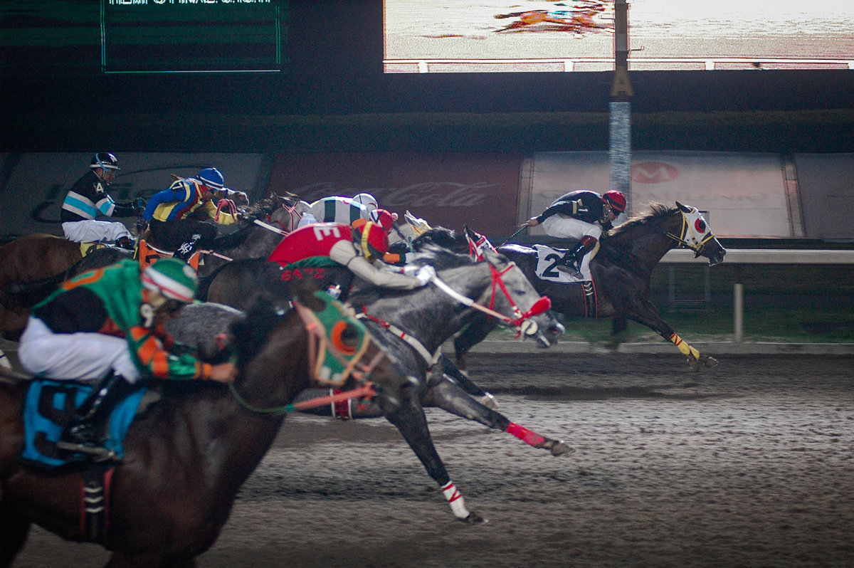 La Escuincle venció en el Mexican Bred Juvenile Challenge - Grupo Milenio