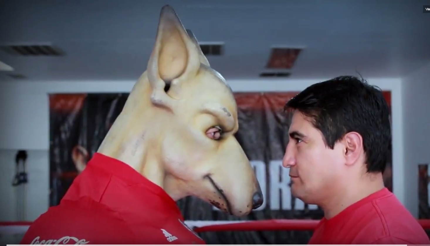 Mascota de Xolos se sube al ring con 'El Terrible' Morales - Grupo Milenio