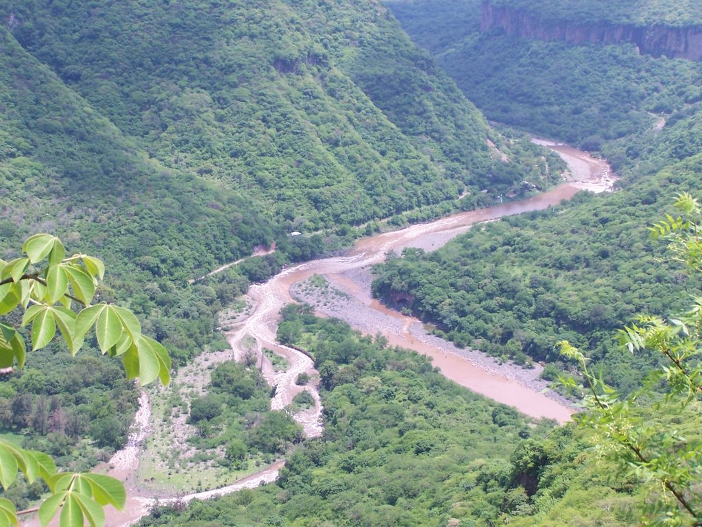 Jalisco pide más agua del río Verde - Grupo Milenio