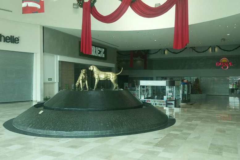 Negocios cierran por temor a saqueos - Grupo Milenio
