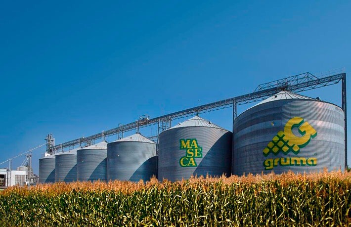 Incremento en precios ayuda a resultados de Gruma - Grupo Milenio
