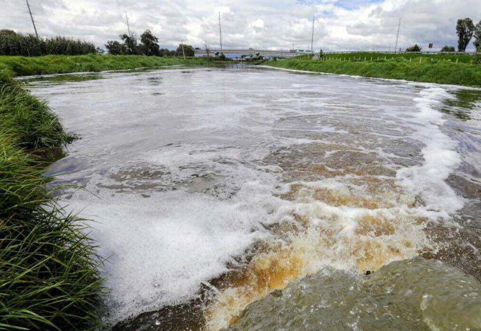 Río Lerma está más muerto que vivo, aseguran - Grupo Milenio