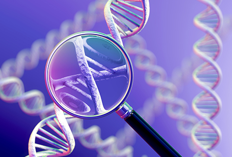 Manipulación genética en humanos - Grupo Milenio