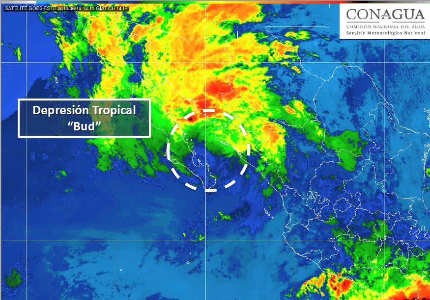 Noticias de Depresión tropical Bud en Milenio