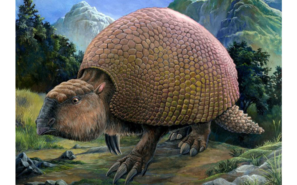 Campesino encuentra fósil de gliptodonte de 16 mil años - Grupo Milenio