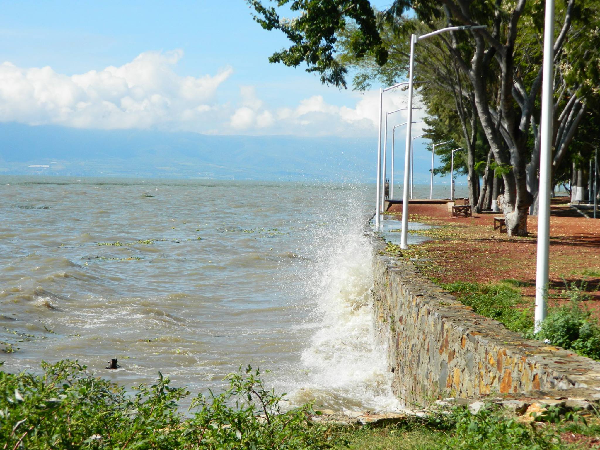 Lago de Chapala podría llegar hasta 90% de capacidad: investigadores ...