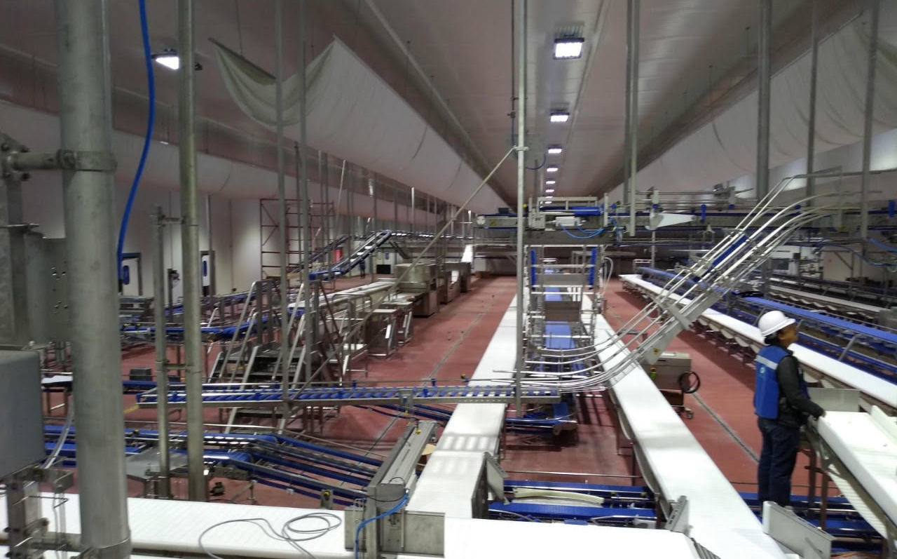 Granjas Carroll de México prepara Rastro tipo TIF en Puebla - Grupo Milenio