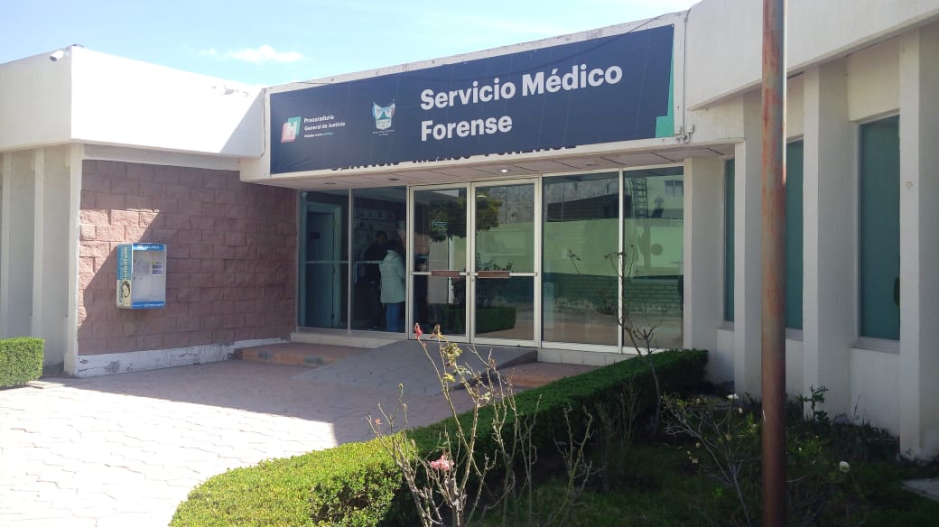 Noticias de Servicios forenses en Milenio - Grupo Milenio