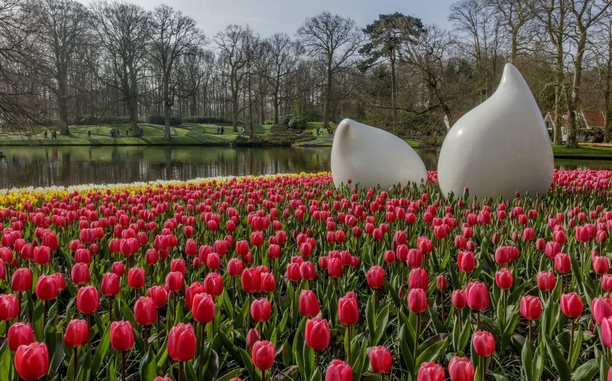 Holanda abre el parque Keukenhof dedicado a los tulipanes - Grupo Milenio