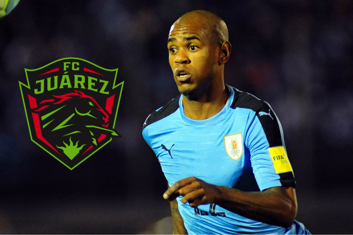 Noticias de Diego Rolán en Milenio - Grupo Milenio