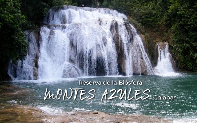 Piden ONG's salvaguardar reserva Montes Azules, en Chiapas - Grupo Milenio