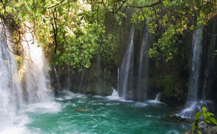 Huasteca mexicana: ¿Qué es y qué estados la conforman? - Grupo Milenio