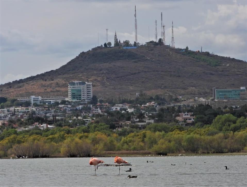 Parque Metropolitano de León: Nuevo consejo ciudadano - Grupo Milenio