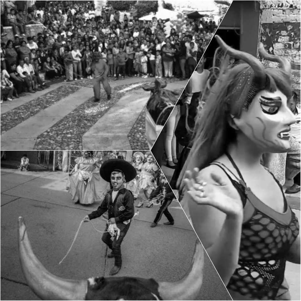 Noticias de Torito en Milenio - Grupo Milenio