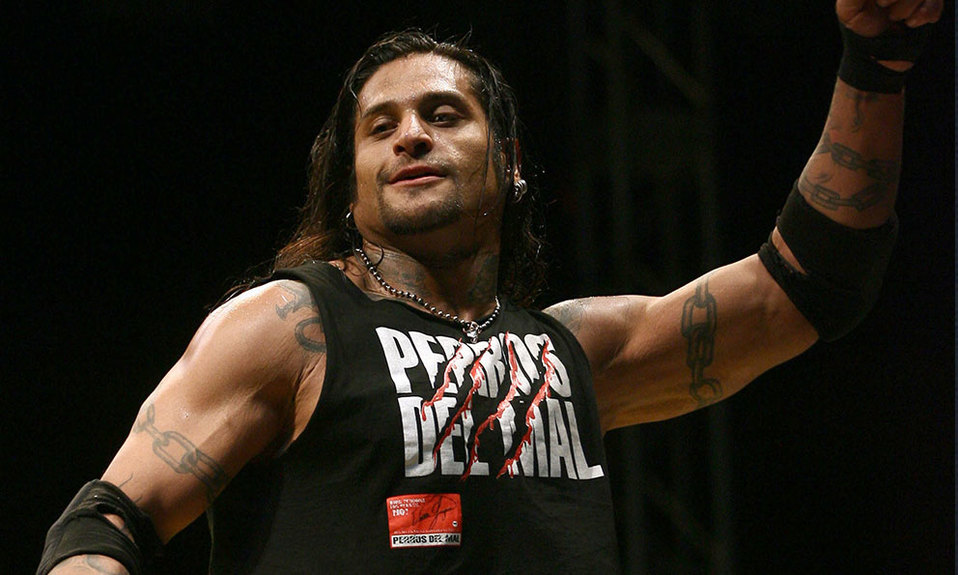 Noticias de Cibernético en Milenio - Grupo Milenio