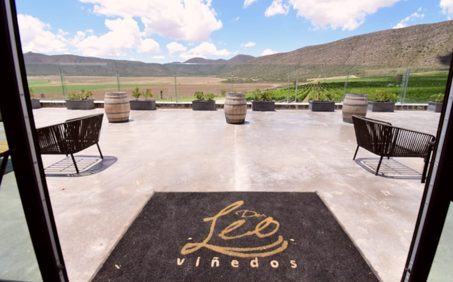 Coahuila: Vinos Don Leo, el mejor cabernet sauvignon del mundo 2020 ...