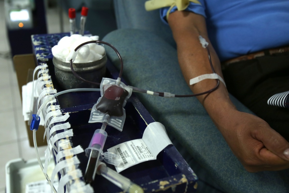 Noticias de Transfusiones sangre en Milenio - Grupo Milenio