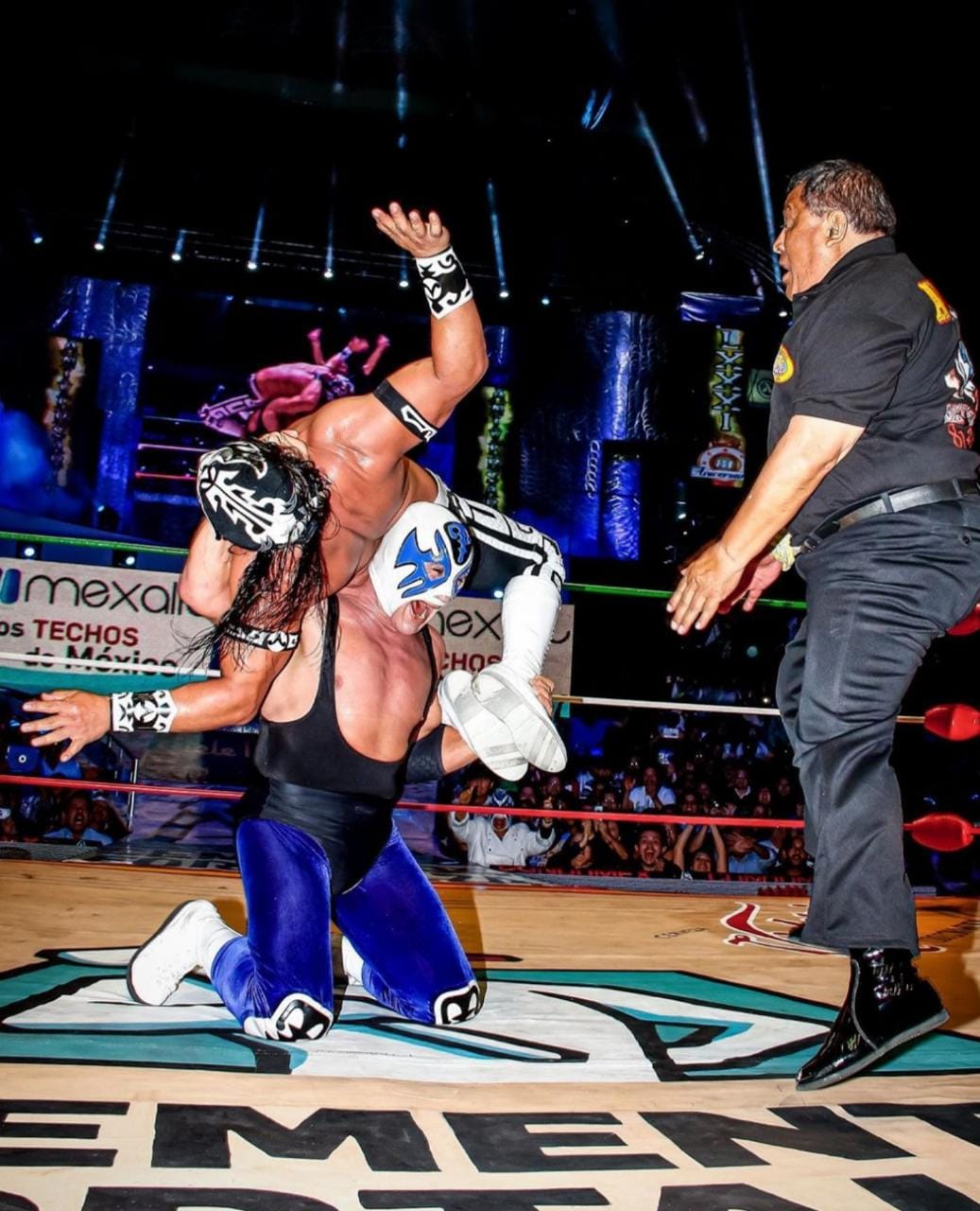 Noticias de Lucha libre en Milenio