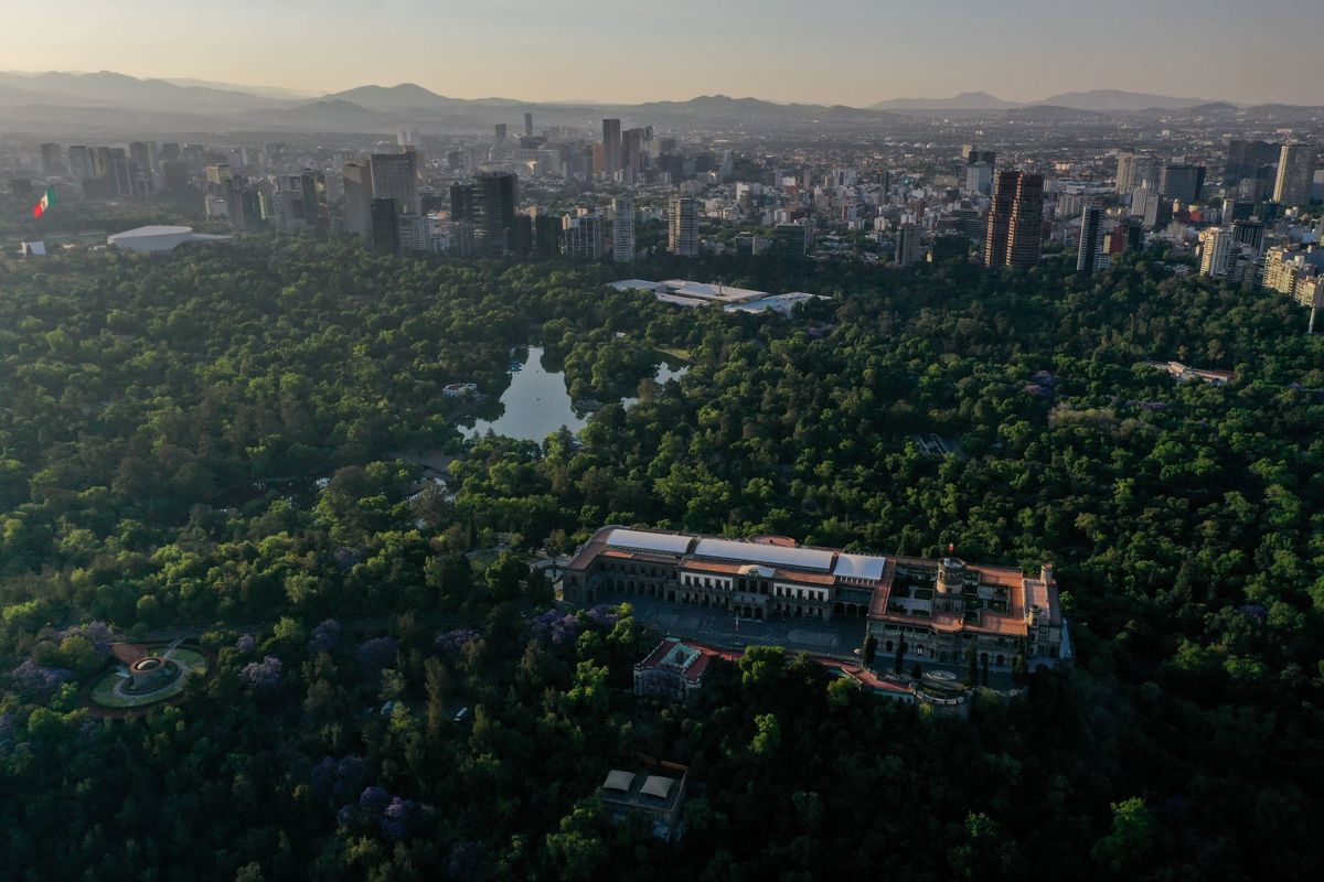 Noticias de Bosque de Chapultepec en Milenio