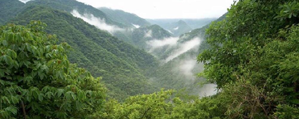 SCJN da razón a Oaxaca por Los Chimalapas; Chiapas devuelve territorio ...