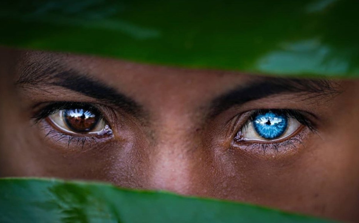 Tras un problema genético, tribu impacta al mundo por sus ojos azules ...
