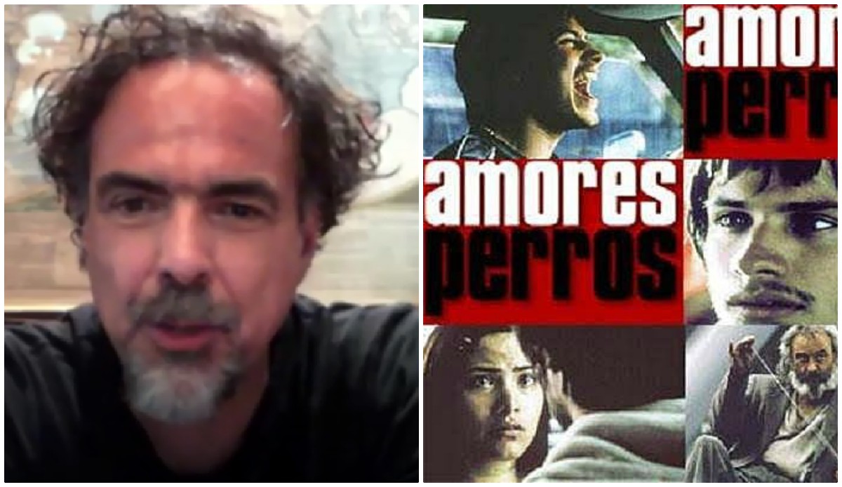 Noticias de Amores perros en Milenio