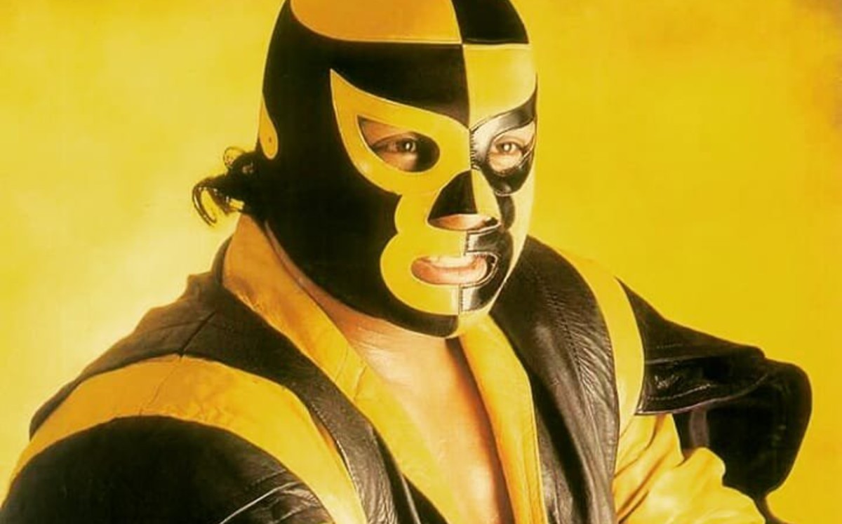 ¿Qué fue de Pierroth Jr tras su retiro de la lucha libre?