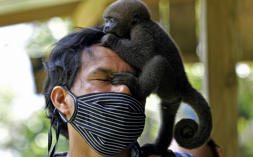 Jhon Jairo, el indígena que protege a monos por cacería en el Amazonas ...