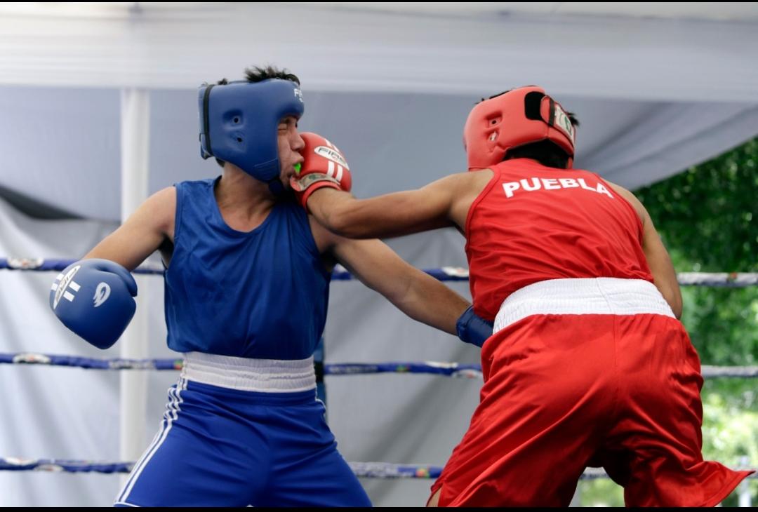 Anuncian eliminatorias de boxeo para el nacional - Grupo Milenio