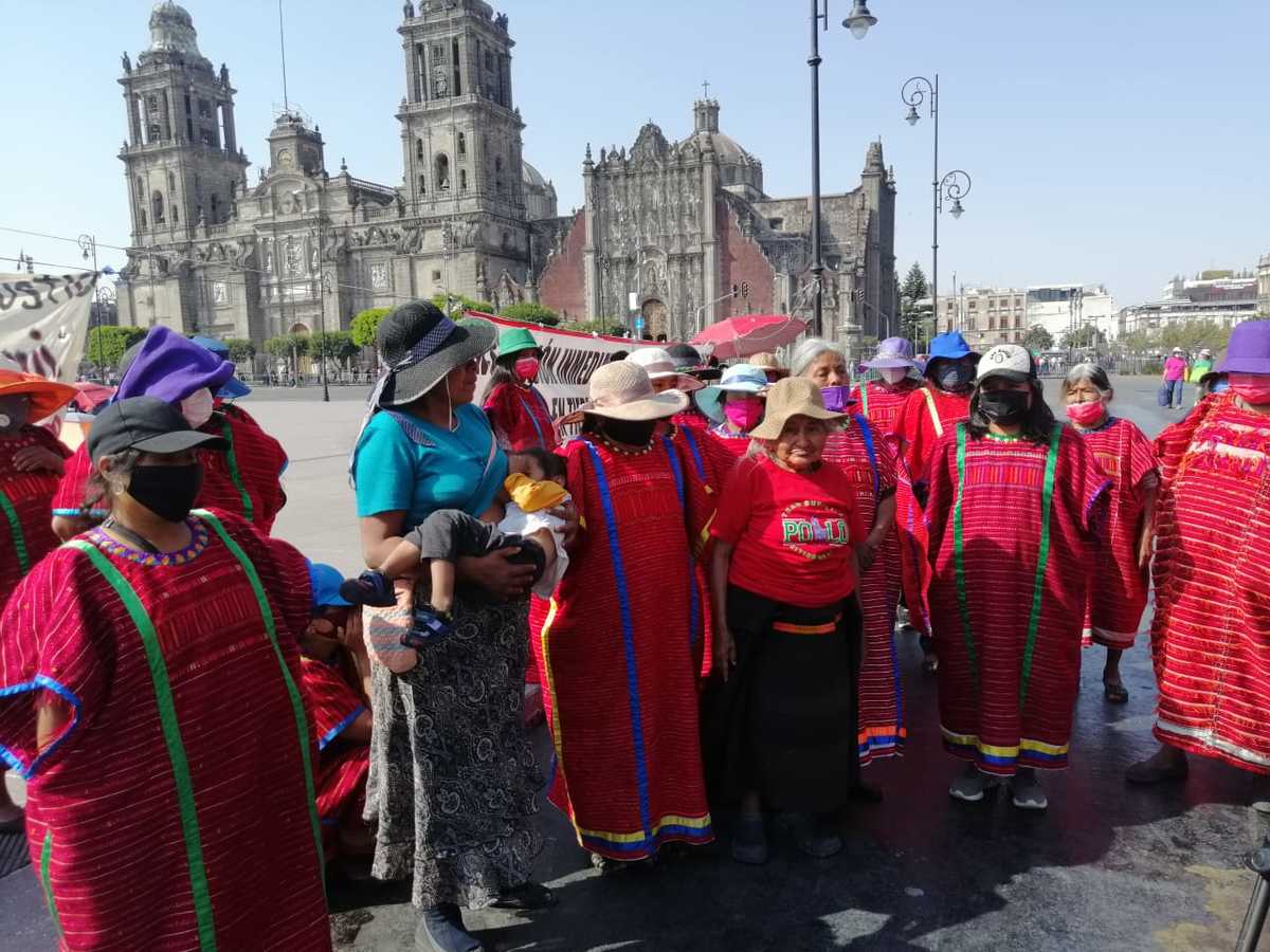 Noticias de Triquis en Milenio