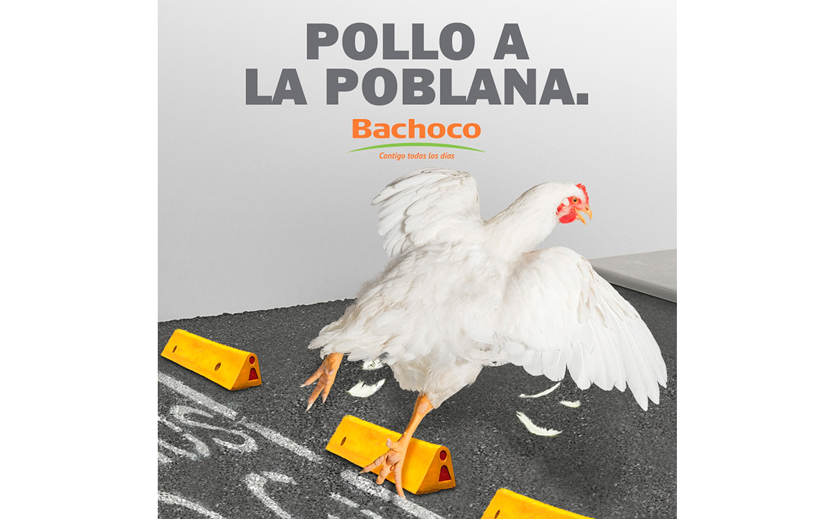 Bachoco recuerda memes de ciclovía en Puebla; se vuelve viral - Grupo ...