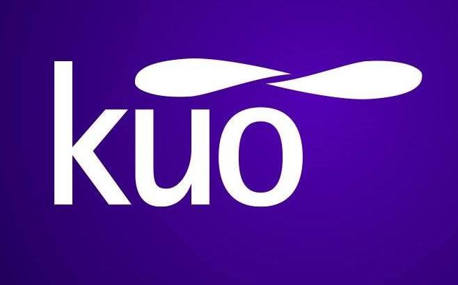 Grupo KUO logra ingresos por 12 mil mdp en inicio de 2021 - Grupo Milenio