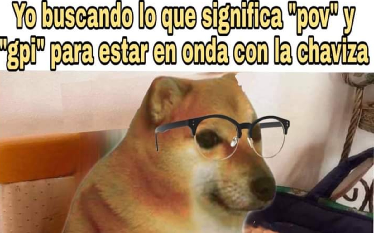 Qué significa POV y GPI, los términos que usan en redes sociales ...