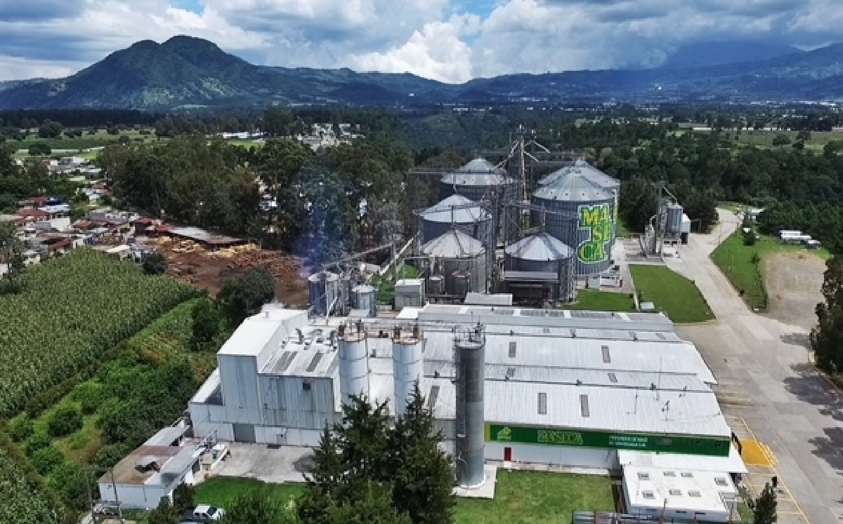 Gruma impulsa y apoya la producción de maíz en México - Grupo Milenio