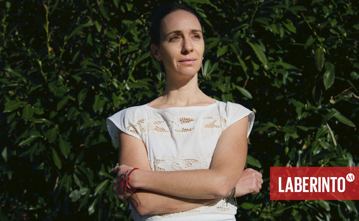 La pandemia vista a través de las ramas: entrevista a Alexandra Délano ...