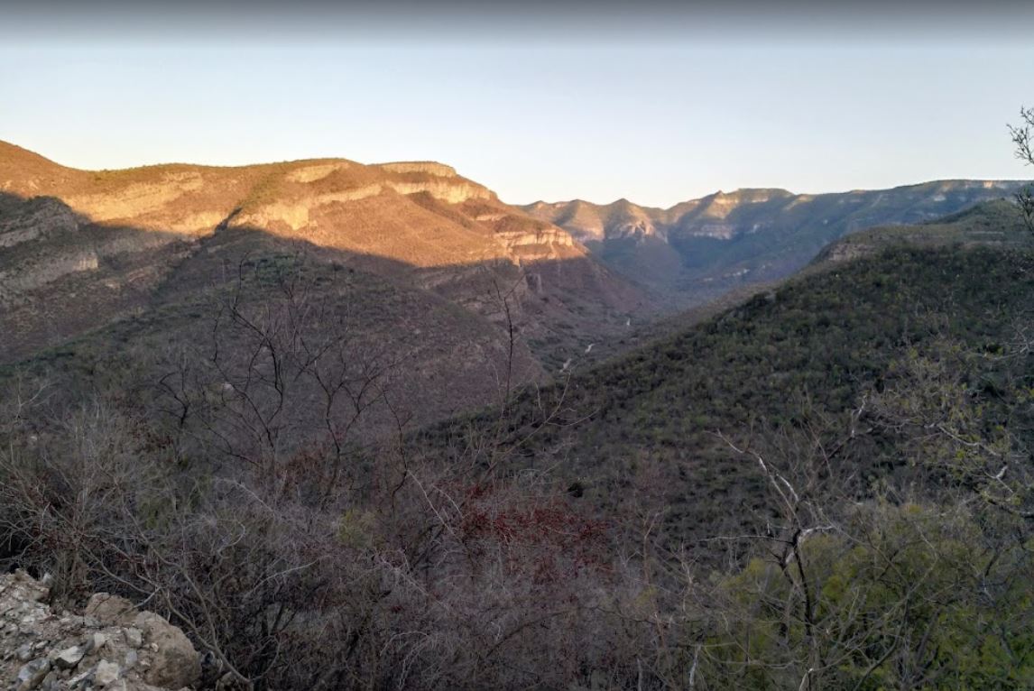 Noticias de Múzquiz en Milenio - Grupo Milenio