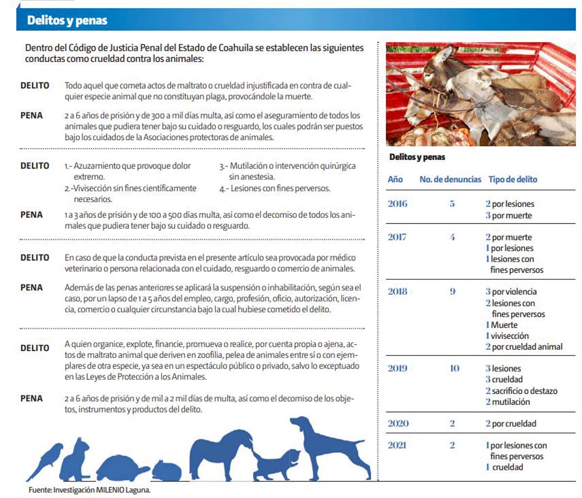 Maltrato animal en Coahuila. Pena máxima y cómo denunciar - Grupo Milenio