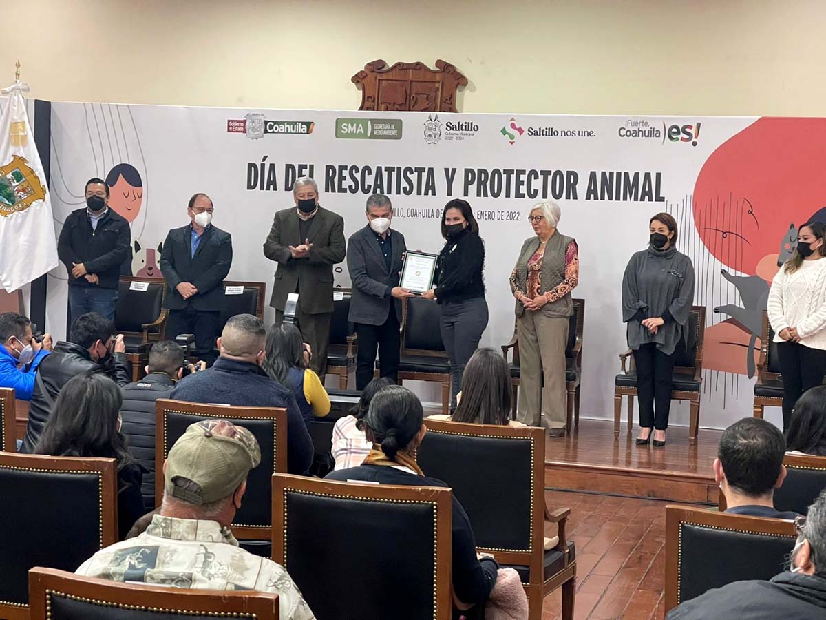 Noticias de Protección animales en Milenio - Grupo Milenio