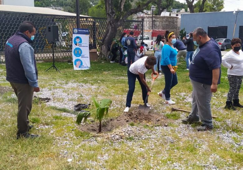 Siembran árboles para mitigar la tala en Tula - Grupo Milenio